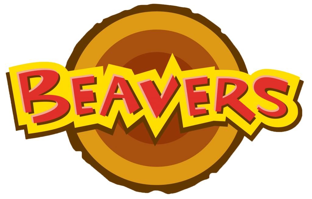 Sections | Newtown Robert Owen Scouts